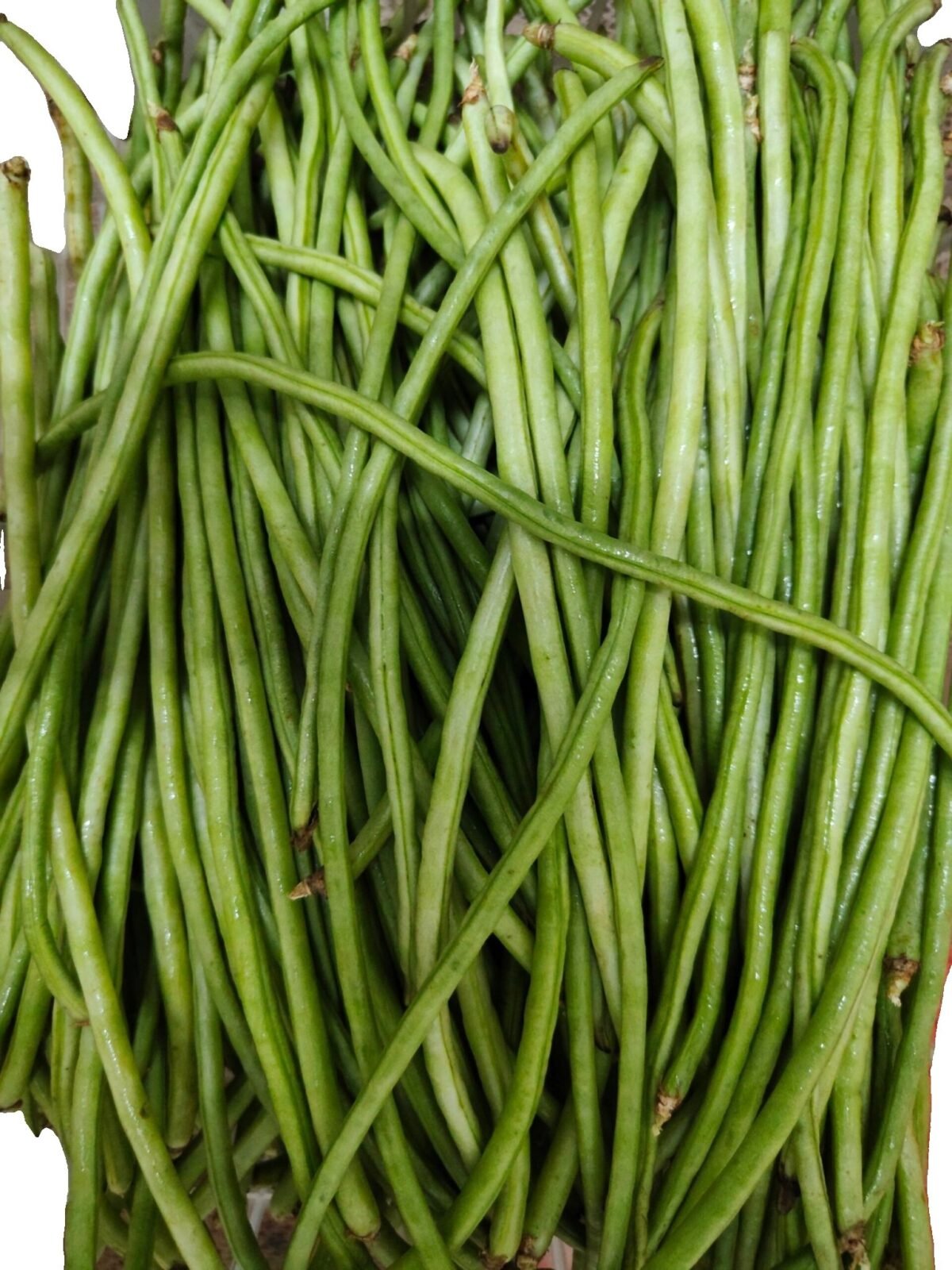 Desi Cowpea Beans (Barbatti) – veggiefal.com